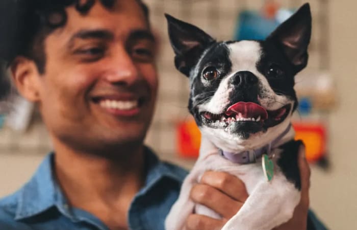 Pet Insurance | Costco